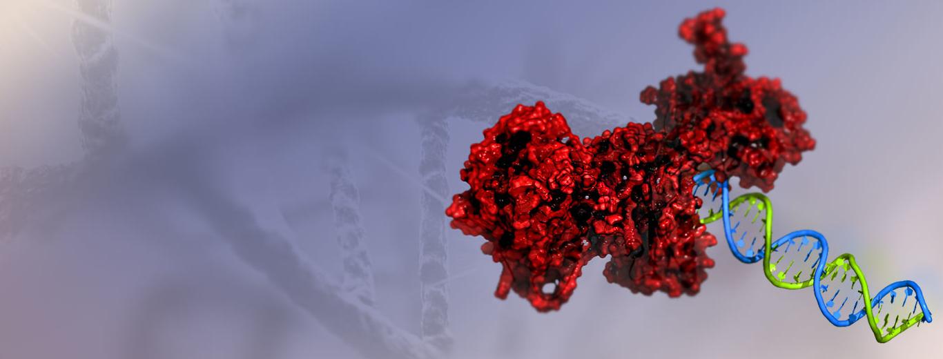 Portable Fluorescence Reader to enable PCR-based tests for COVID-19 ...